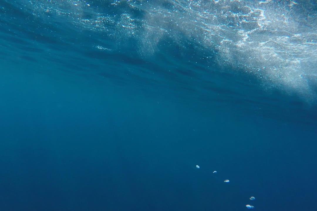 Beachbuoy – Releases of Stormwater or Wastewater Near You – Blue Seas ...