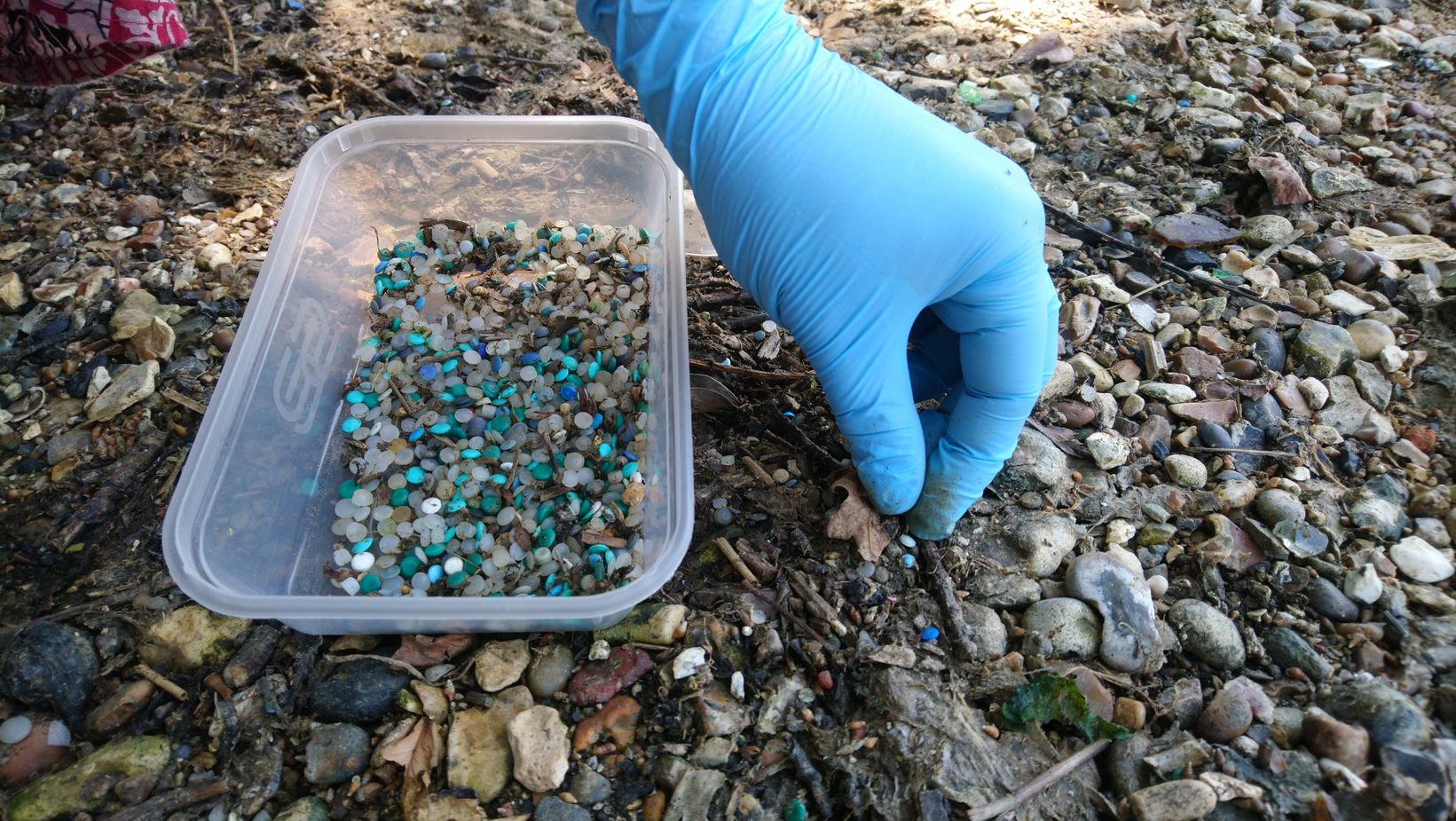 The Great Global Nurdle Hunt 2021 – Blue Seas Protection